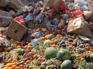 Food Waste Recycling Depackaging Equipment - Source Separated Organics