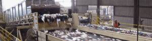 Multi-MRF™ Systems - MRF - Process Multiple Streams on a Single Line